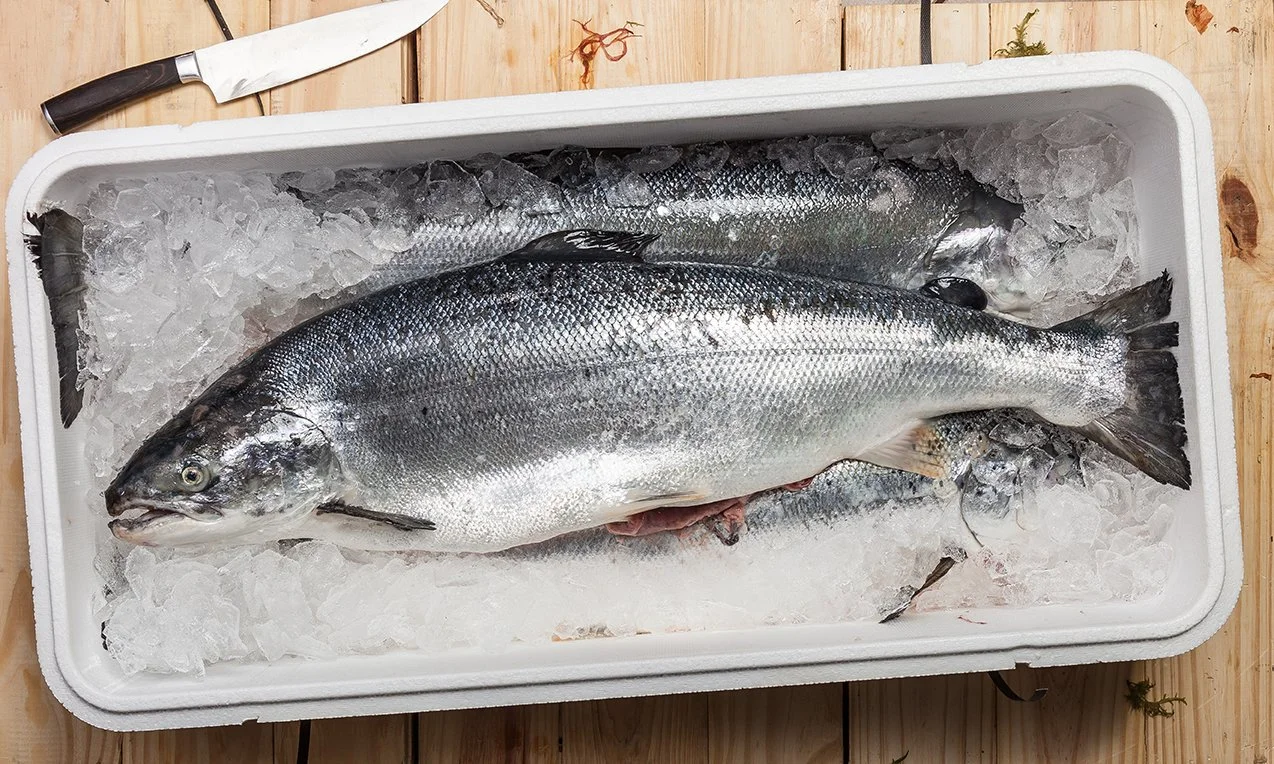 Supreme Seafood