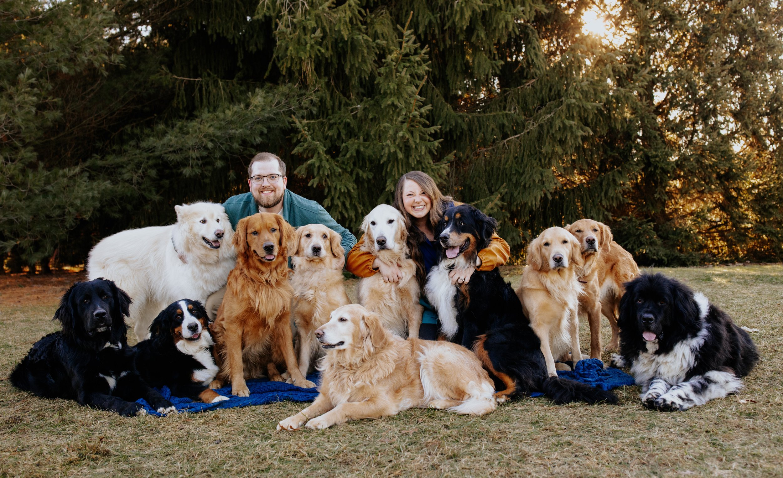 Roberds Farm Golden Retrievers