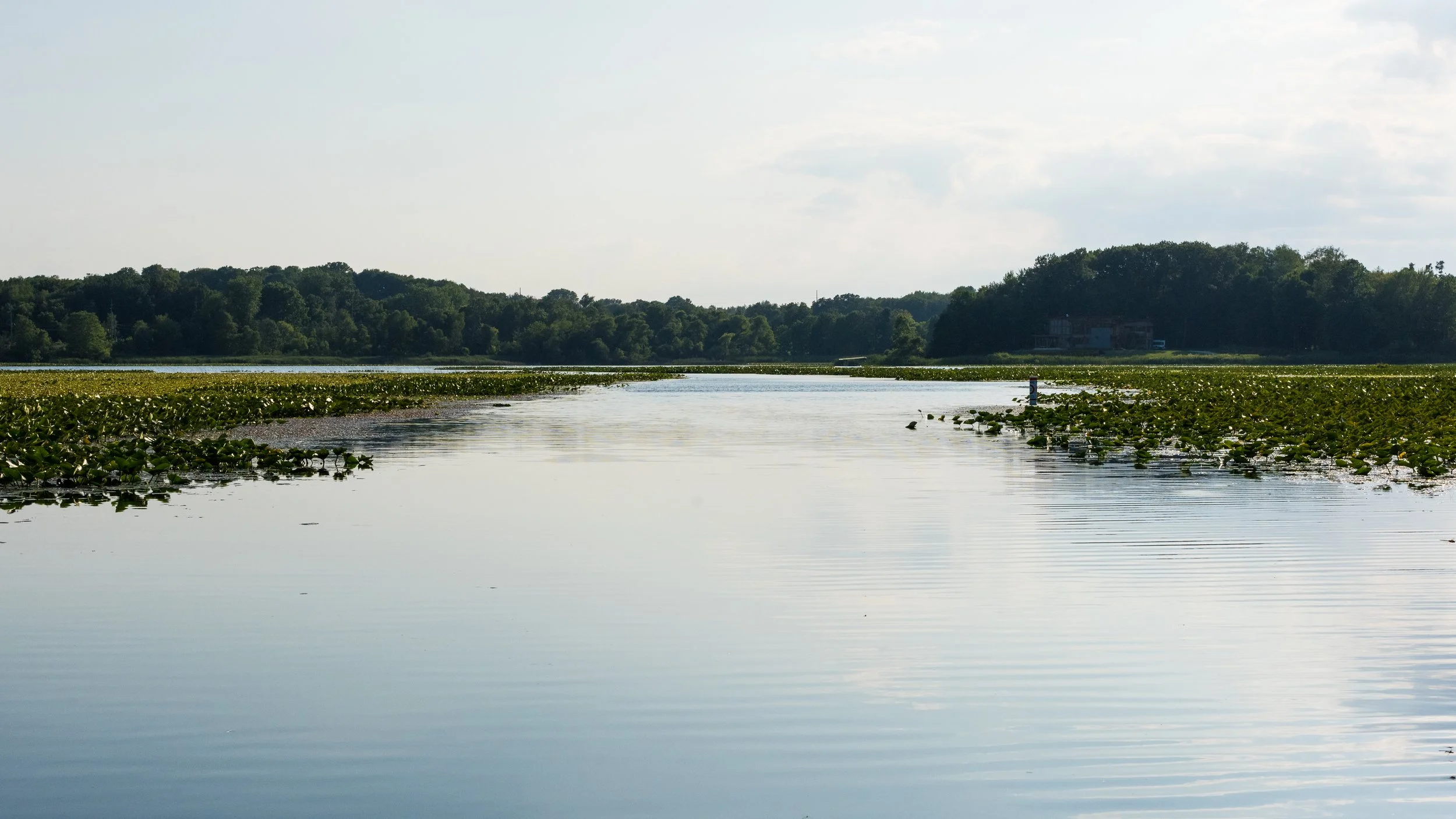 Resources — Hudson Lake Conservation Association