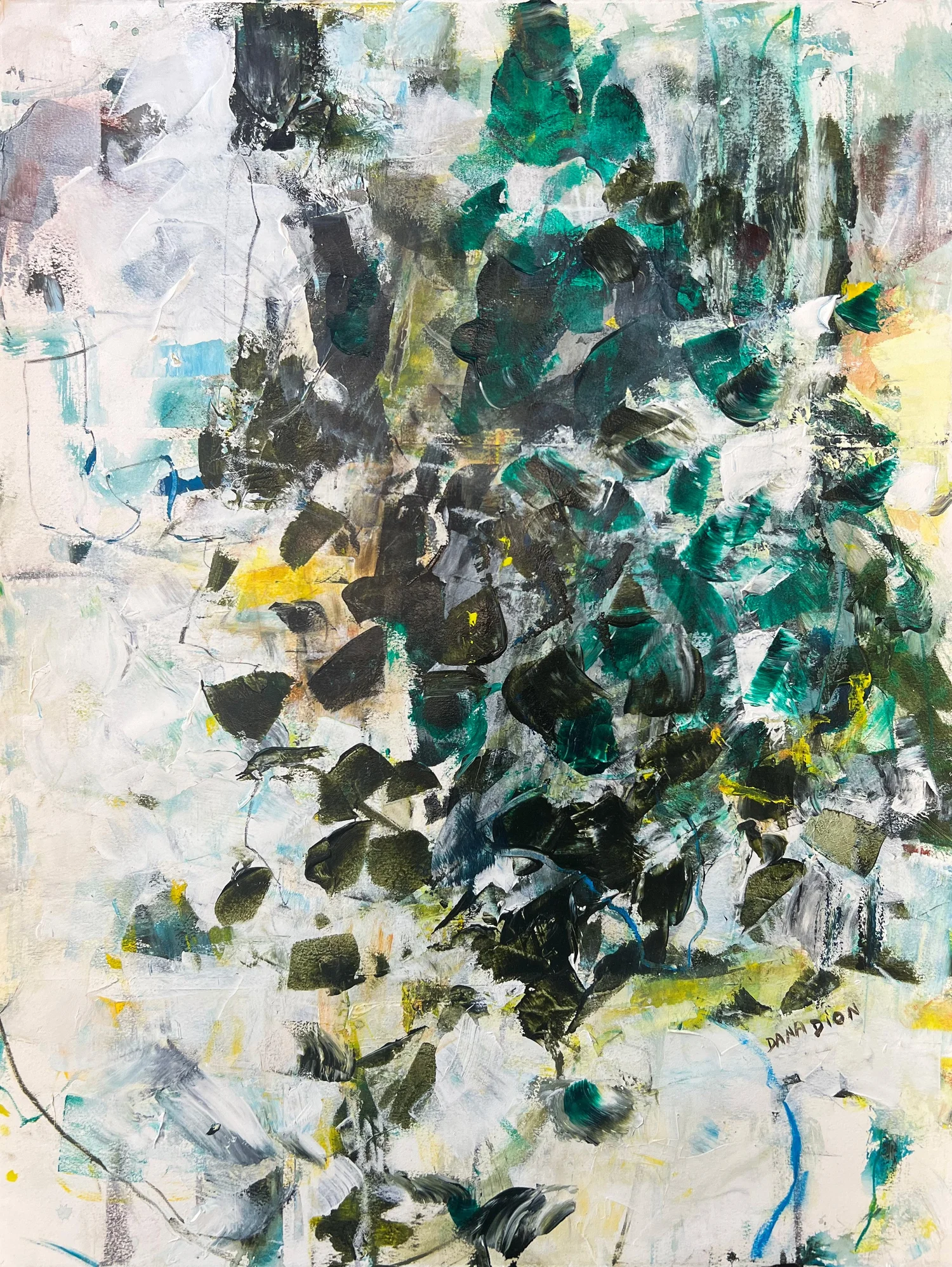 Dana Dion — Thomgallery