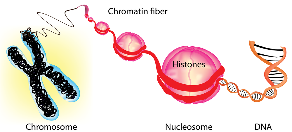 Research — Brahma Lab