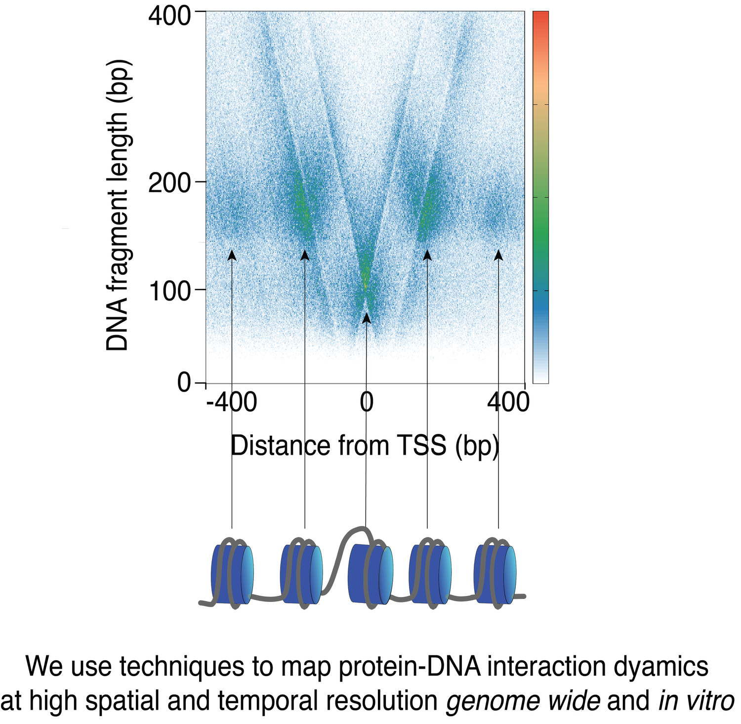 Research — Brahma Lab