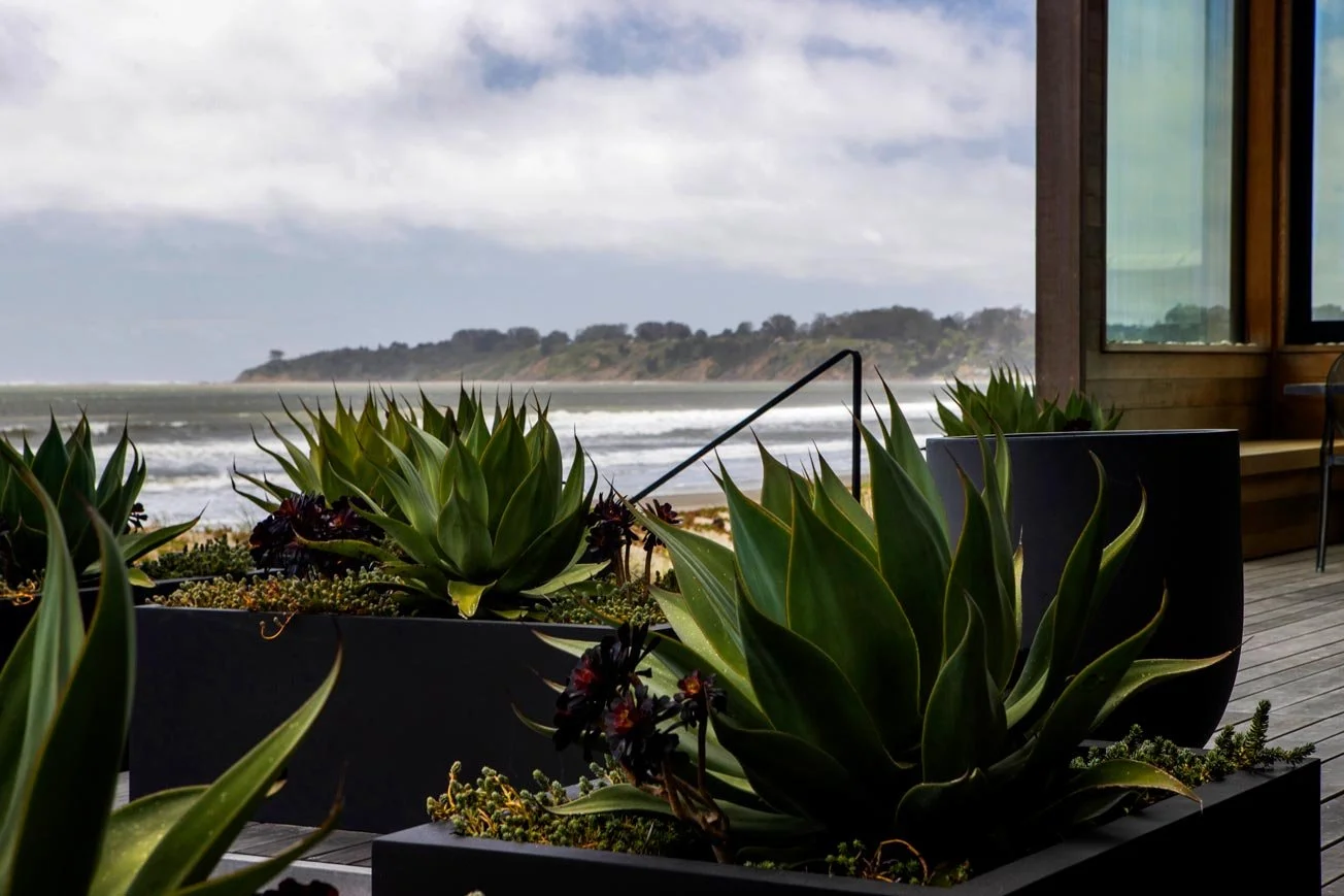 Projects — Martinelli Design