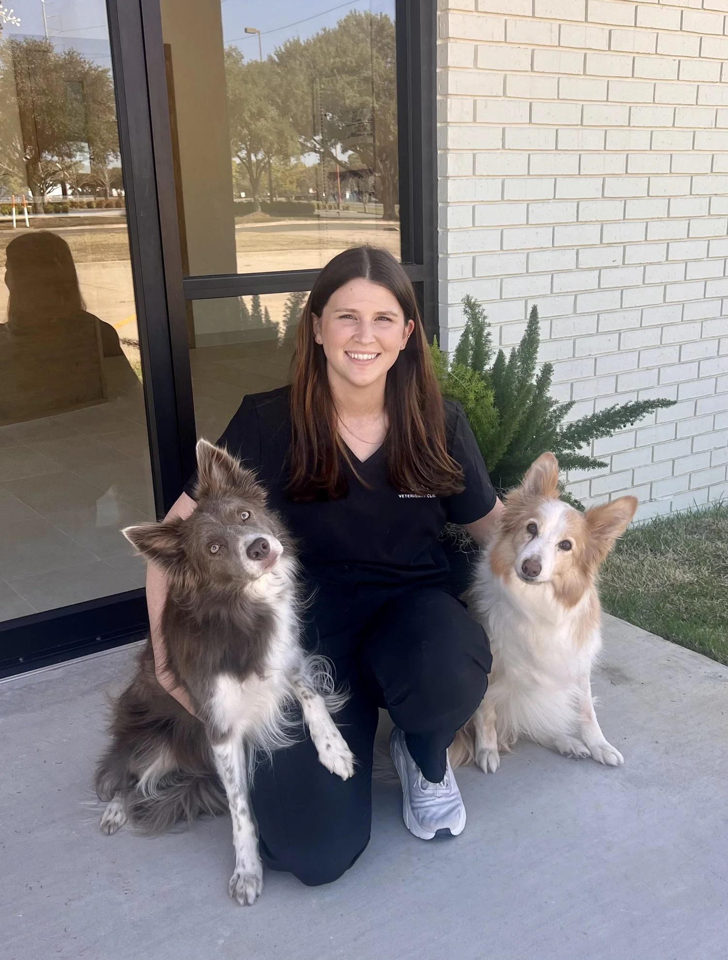 About Us — Bayou Oaks Veterinary Clinic