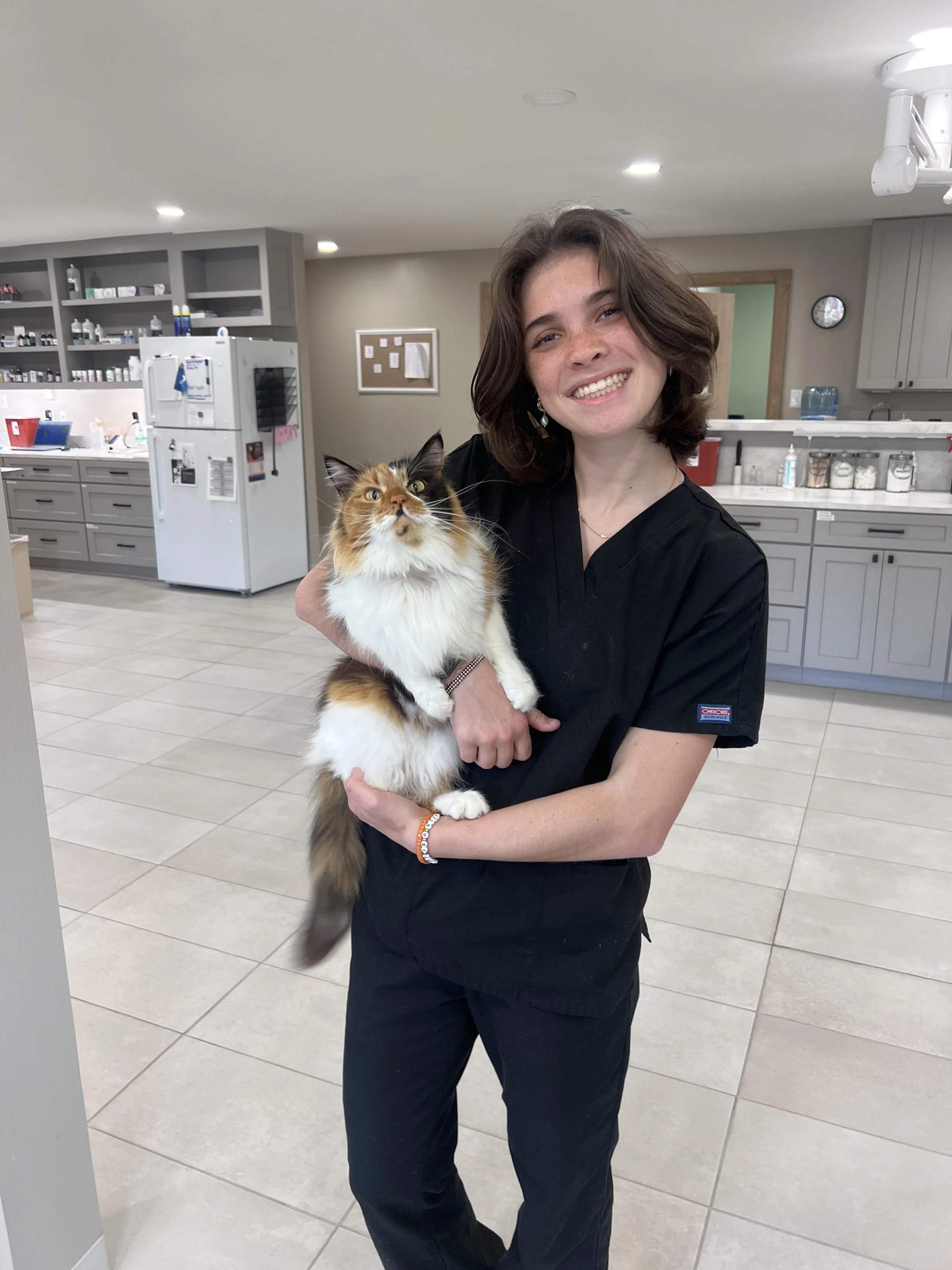 About Us — Bayou Oaks Veterinary Clinic
