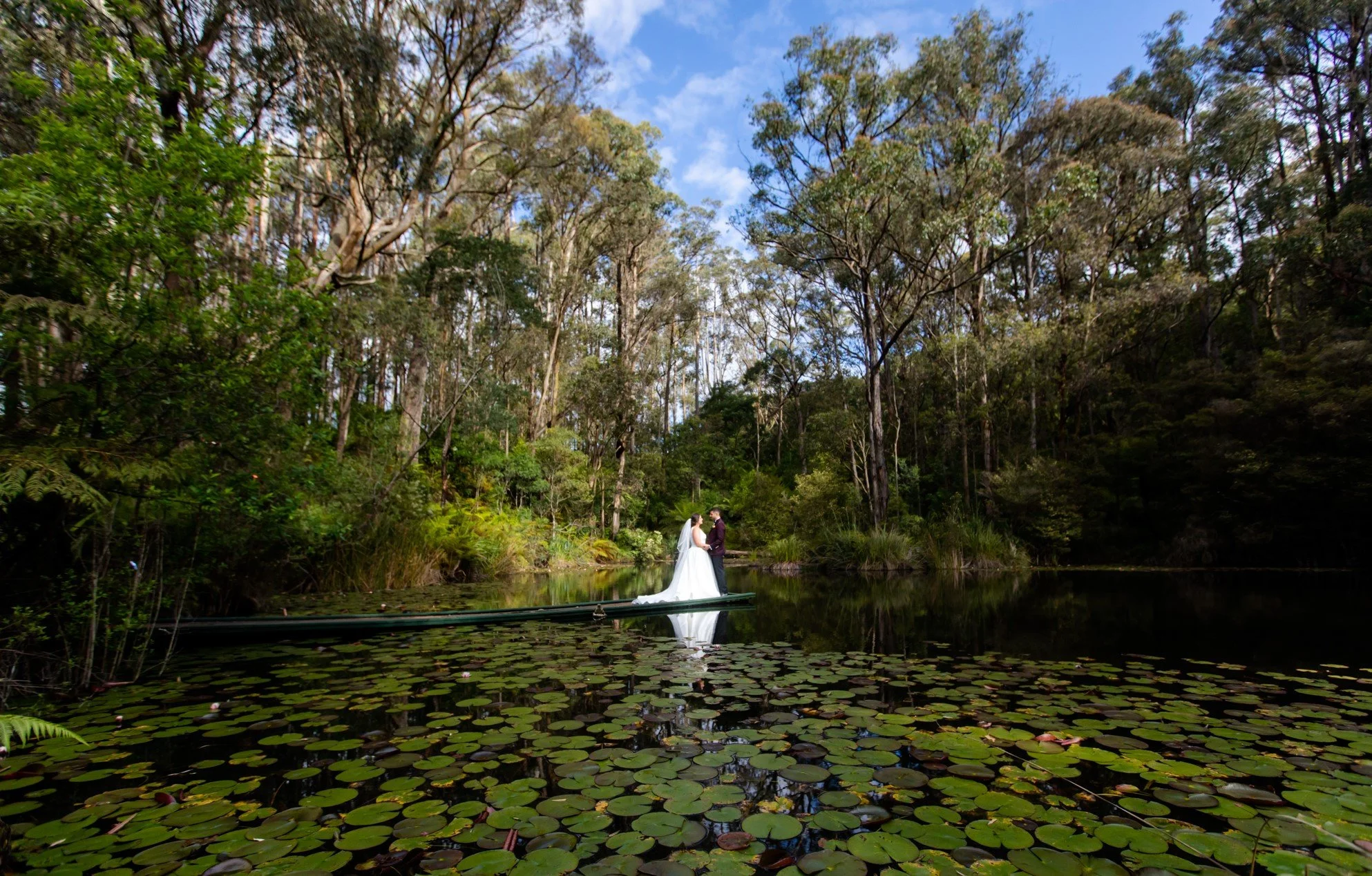 Swallowfield Vineyards
