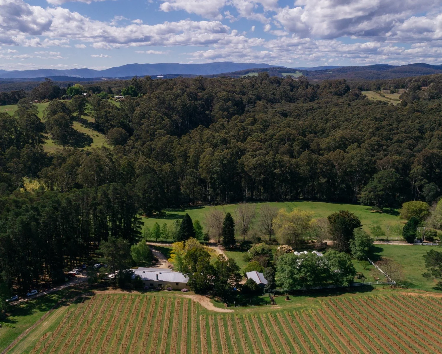 Swallowfield Vineyards