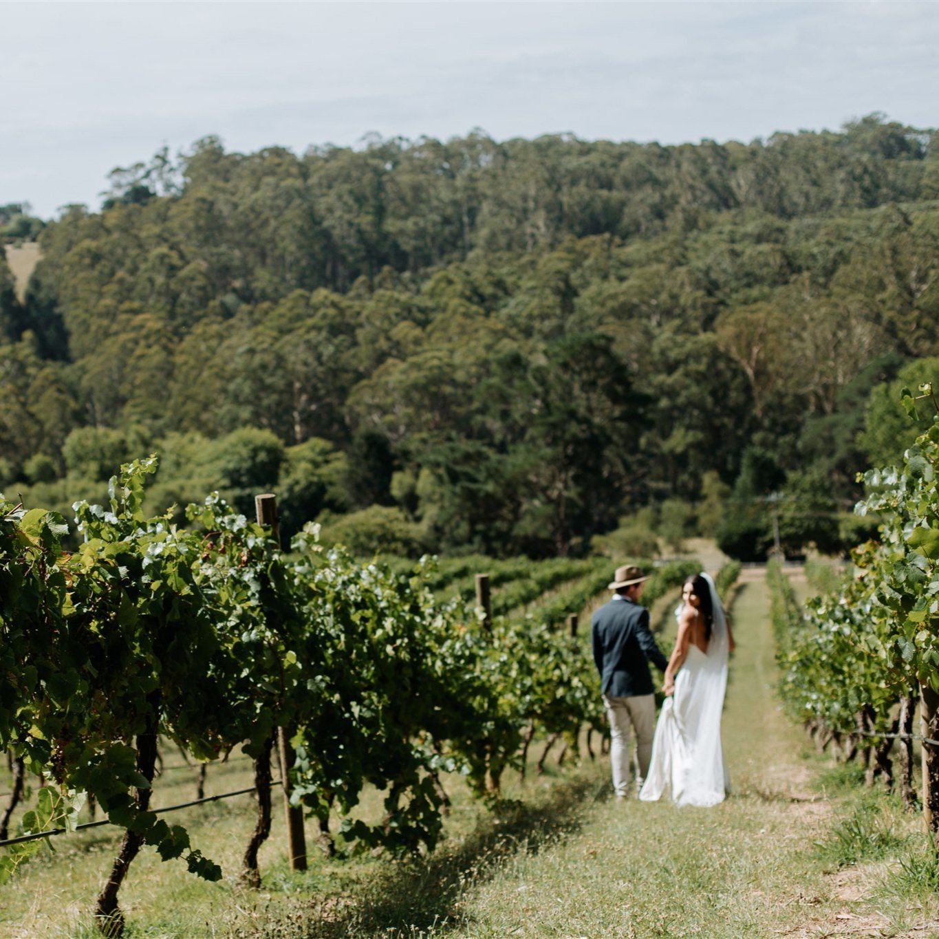 About | Plan Your Dream Wedding Today — Swallowfield Vineyards