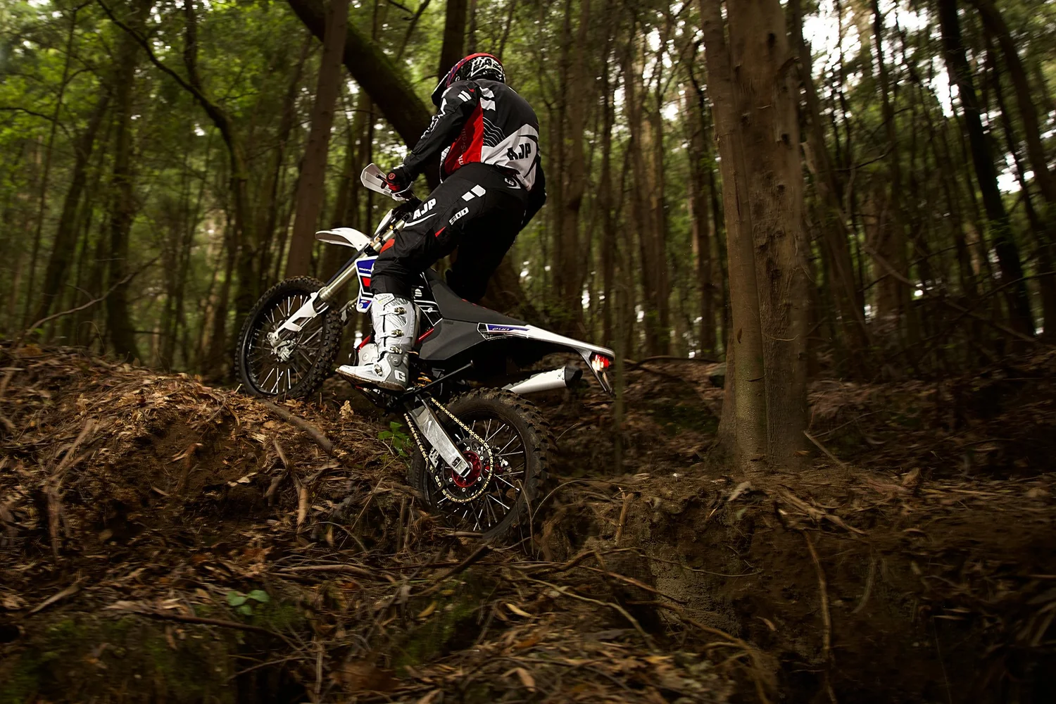 Special Offers — AJP USA