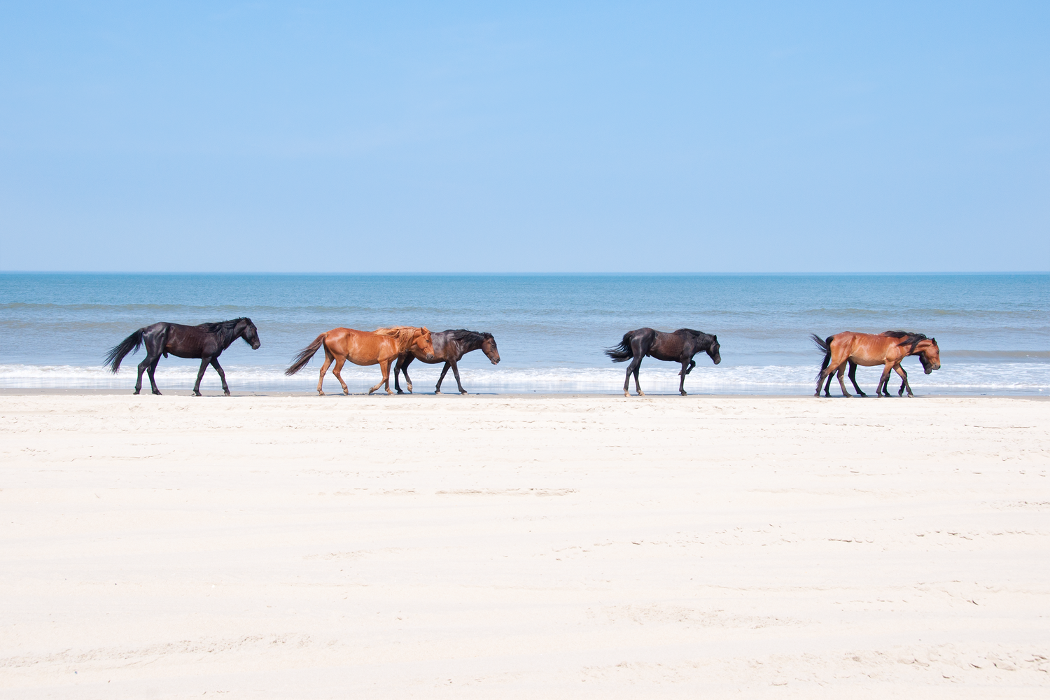 Photo Galleries - OBX Photographer
