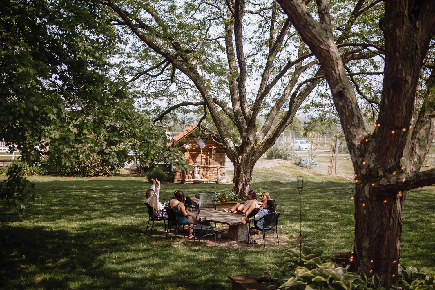 Red Maple Vineyard Wedding Photographer | Arius Photography