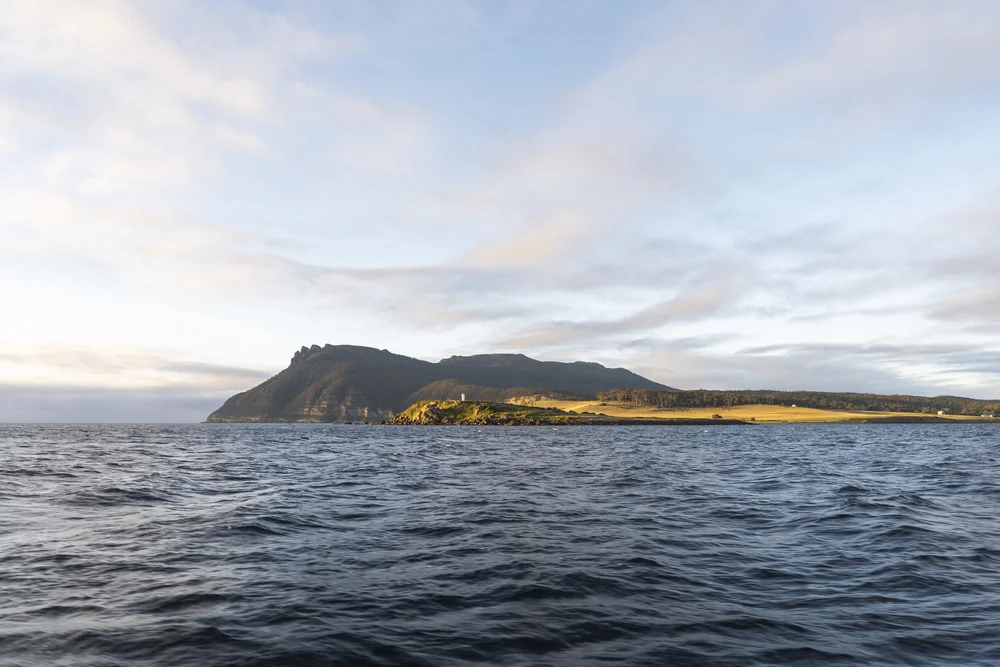 Uncovering Maria Island: The Ultimate Travel Guide to Tasmania's Hidden Gem