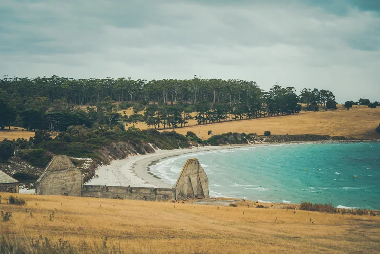 Uncovering Maria Island: The Ultimate Travel Guide to Tasmania's Hidden Gem