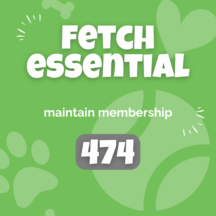 Fetch Dubai Dog Daycare and Boarding Pricing — Fetchdubai