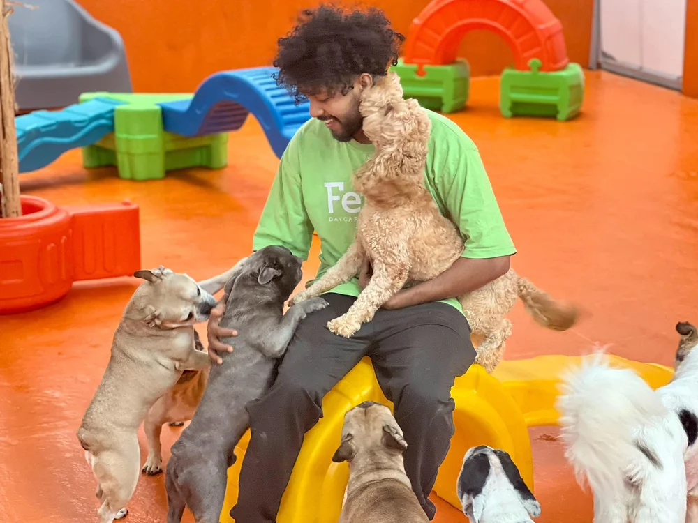 Fetch Dubai Dog Daycare and Boarding Pricing — Fetchdubai