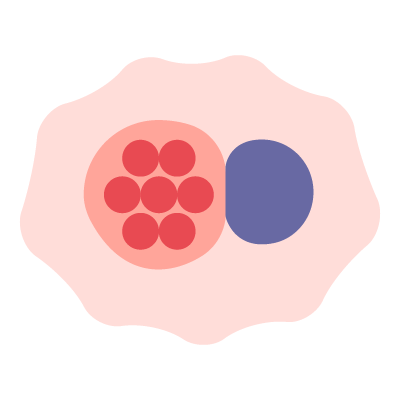 Chlamydia data | Explore Latest Rates — KITT Project