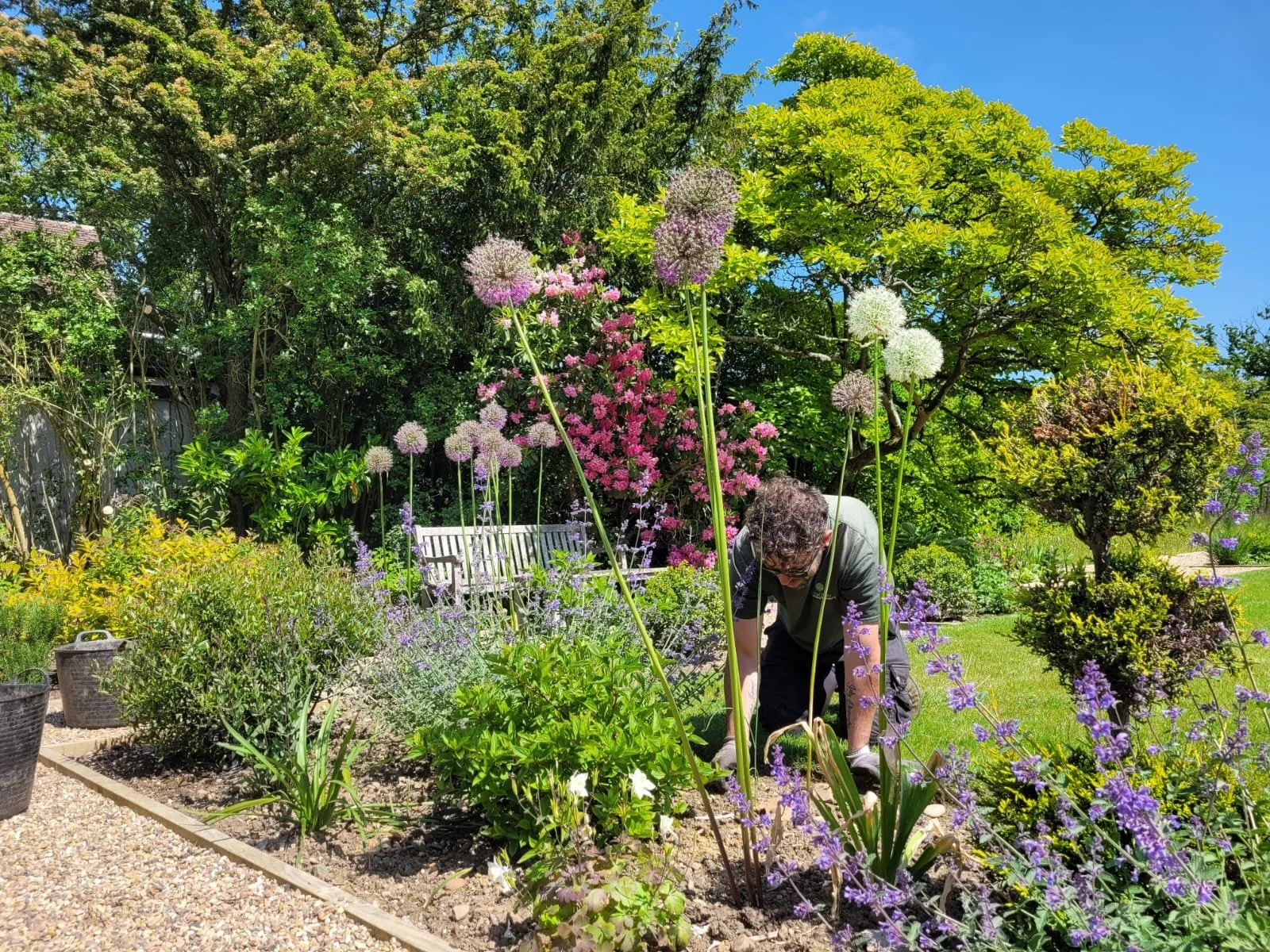 Gardening Packages — Simon Parry Gardening