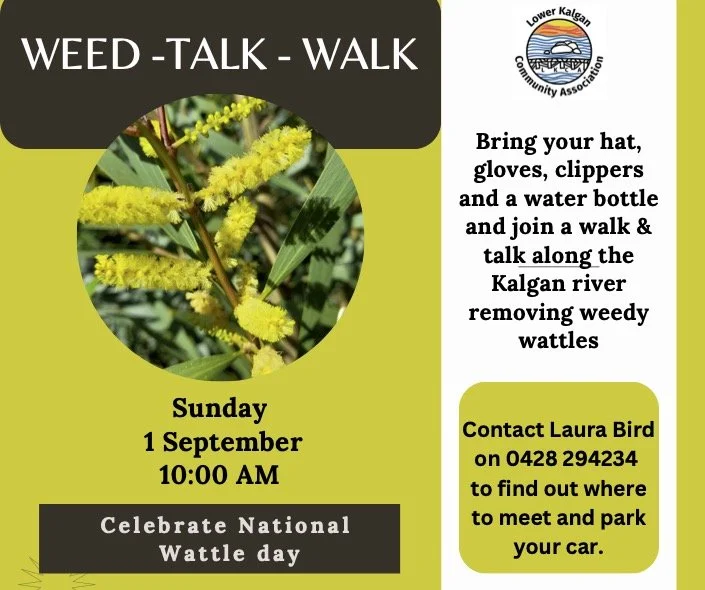 Kalgan Weed-Talk-Walk — Lower Kalgan Community Association