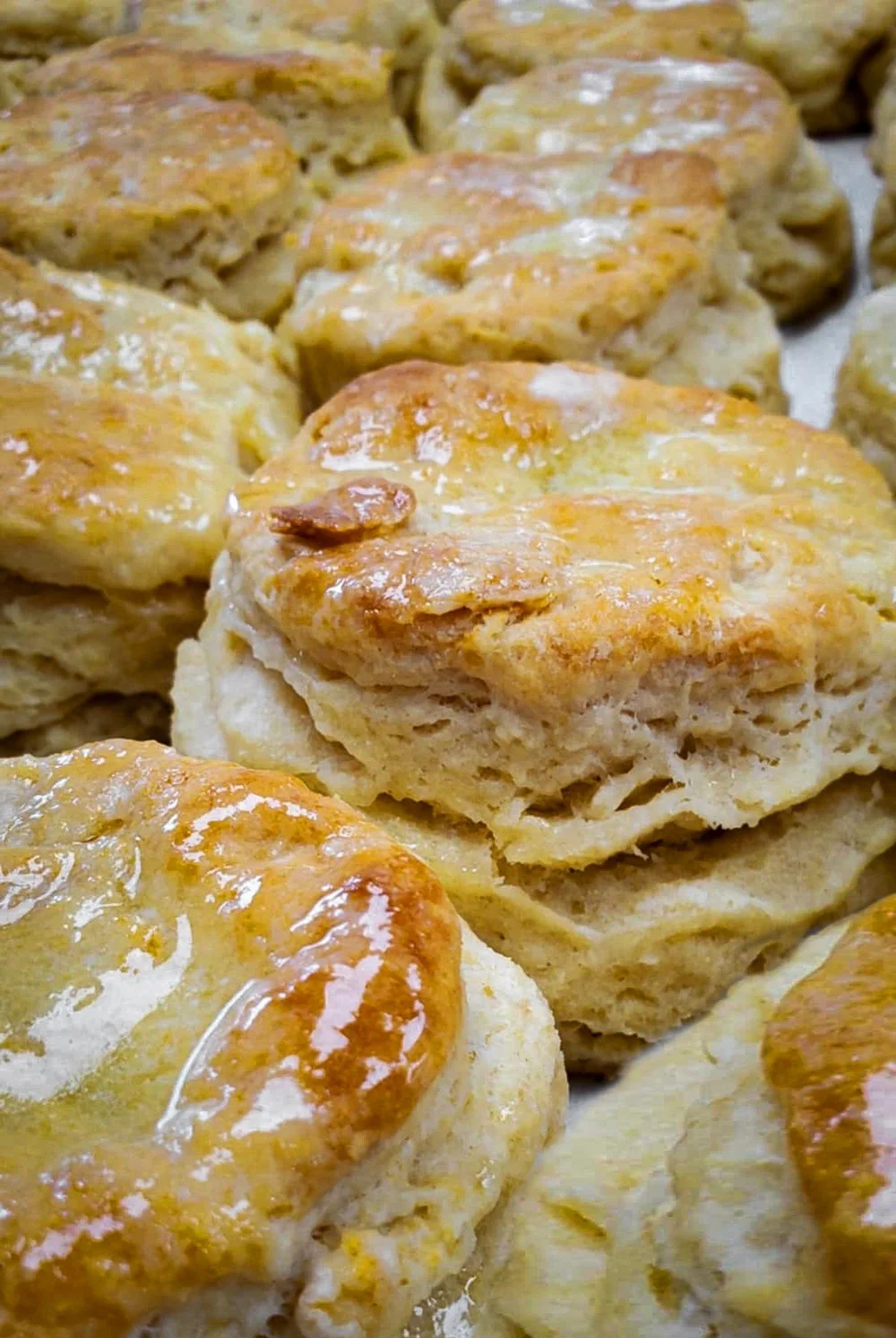 Fawn's Delectables Cafe
