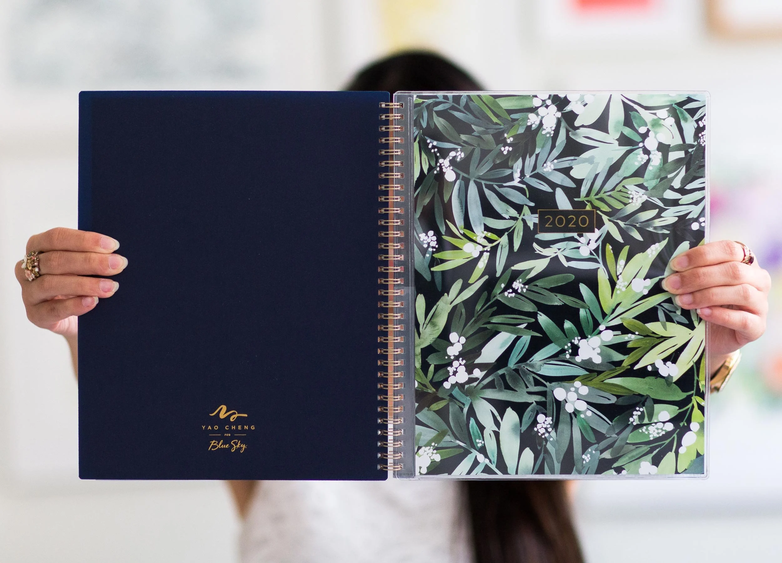 Blue Sky Planners — Yao Cheng Design