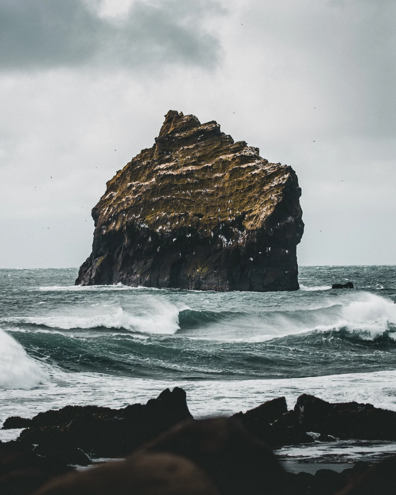 CANON | Icelandic Explorer