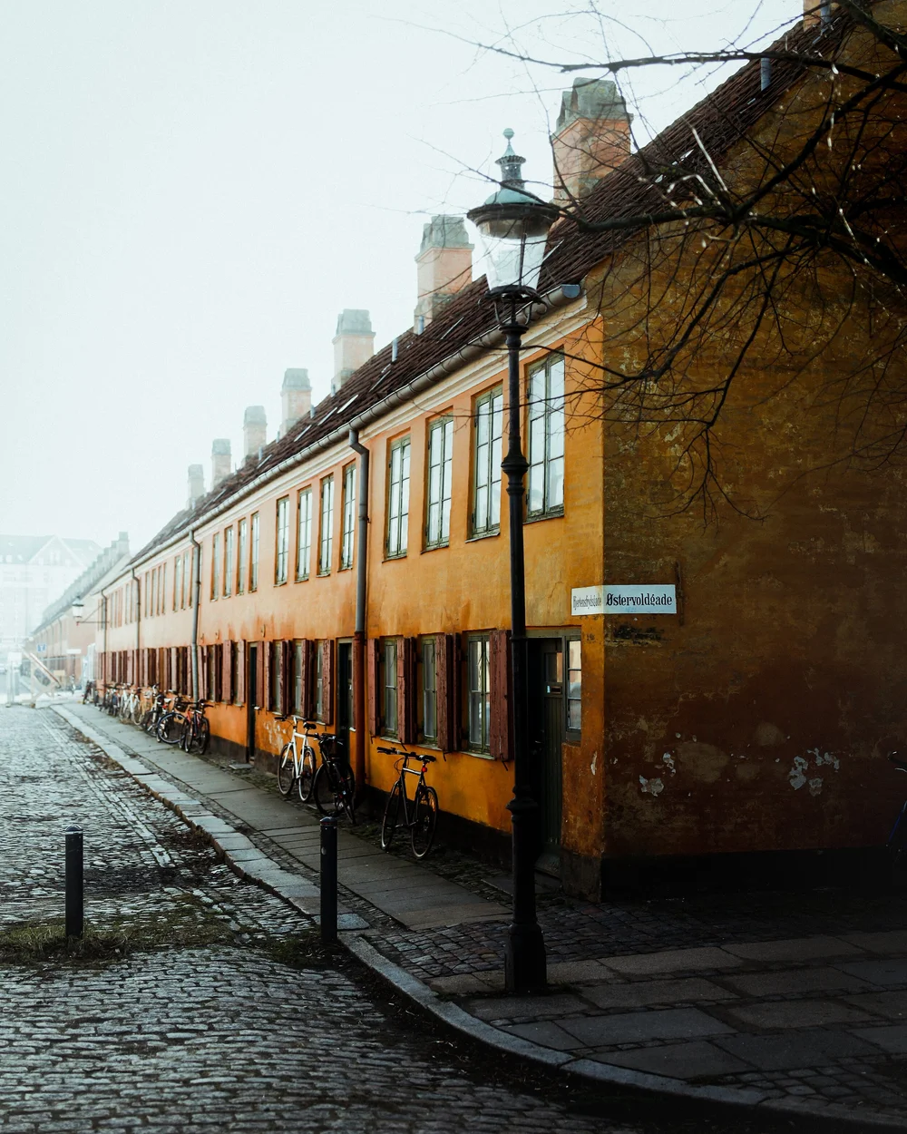 CANON | Icelandic Explorer