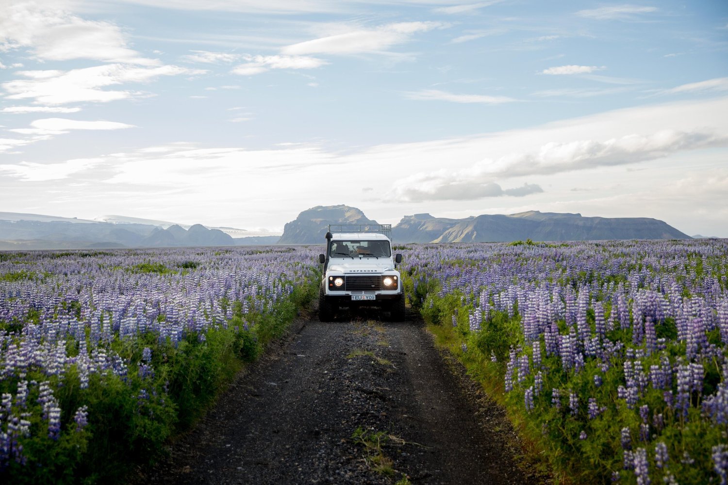 ICELAND | Icelandic Explorer