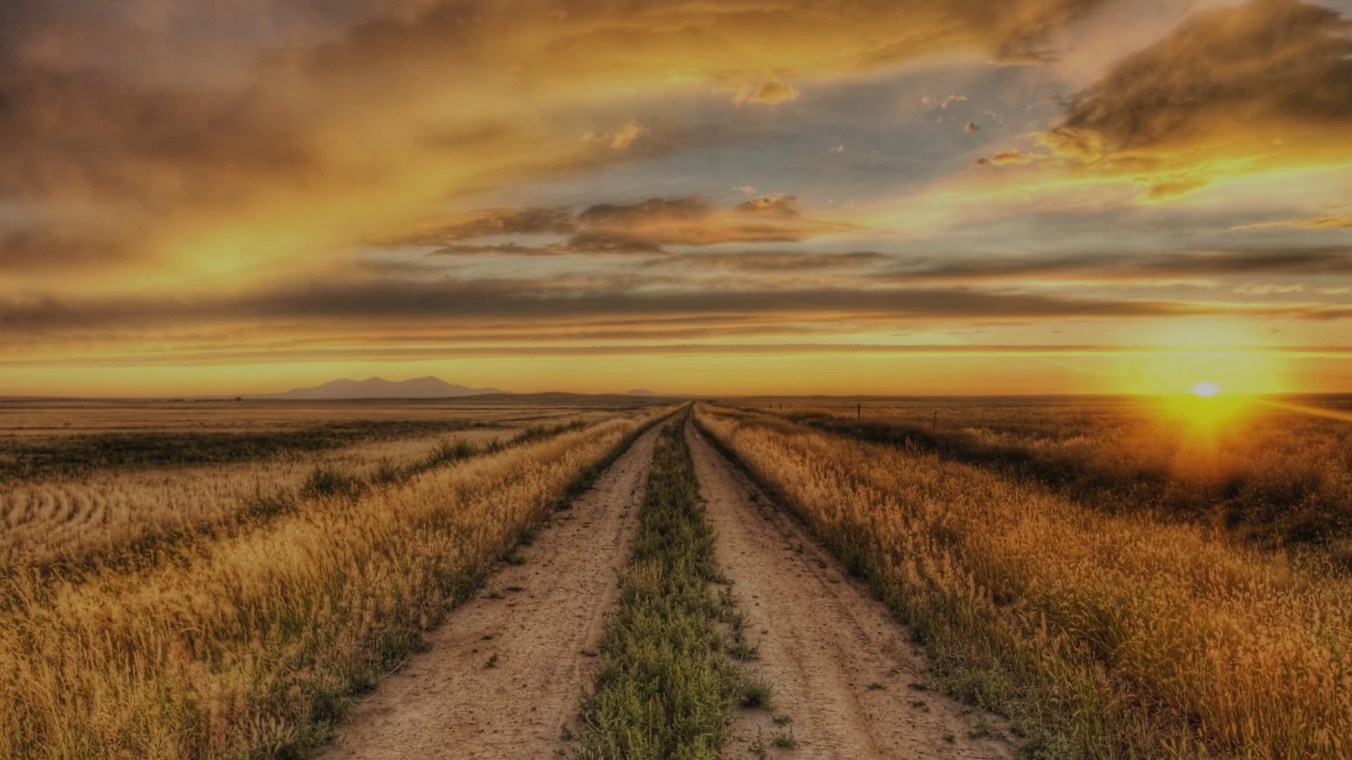 Dirt Road Background