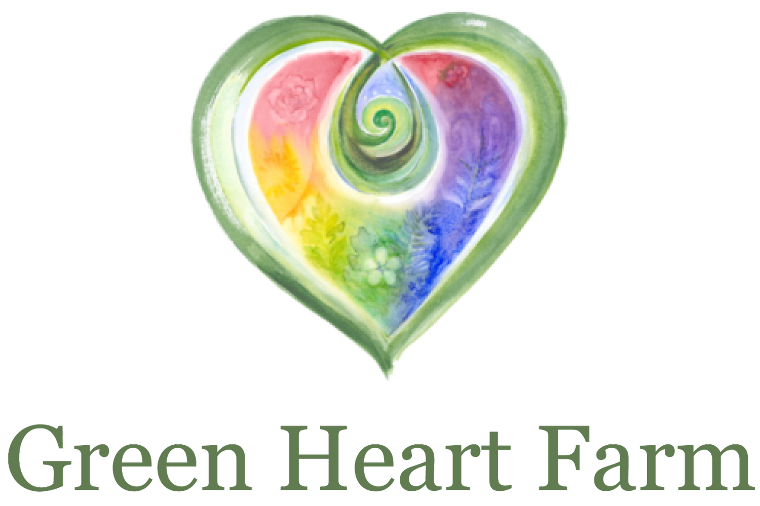 Ham Steak Stew — Green Heart Farm - Registered Icelandic Sheep