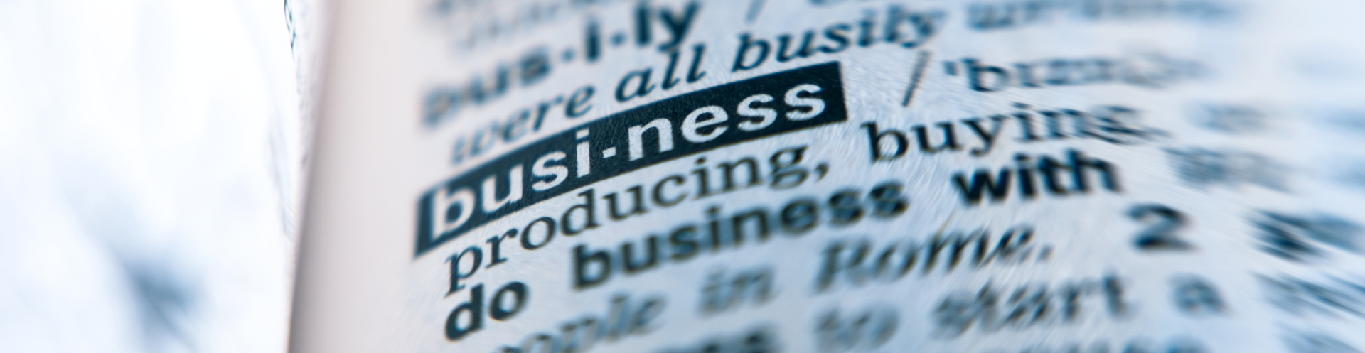 Language of Business — High Country Peer Group