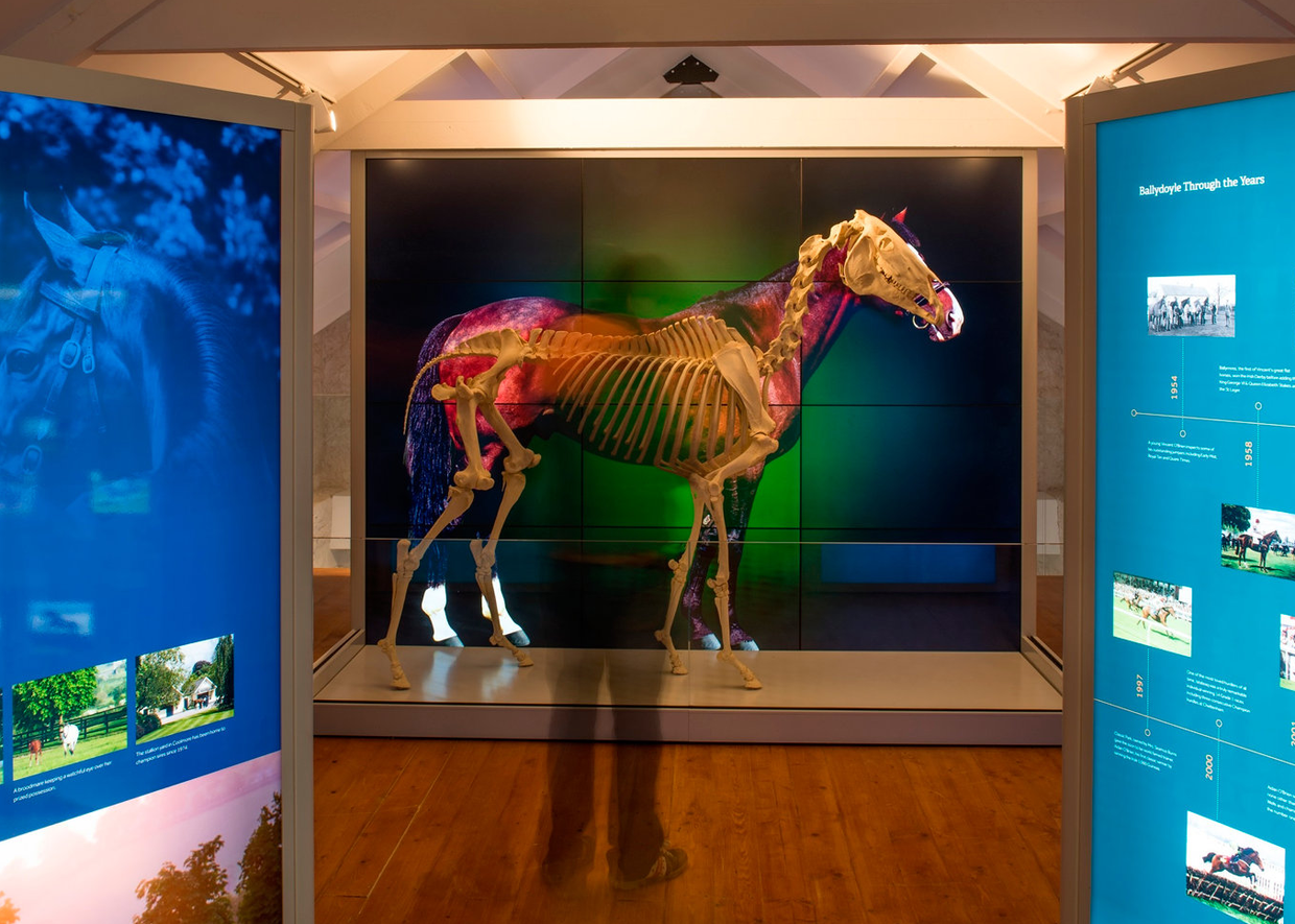 Gallery | Explore Fethard's Heritage Today — Fethard Horse Country Museum