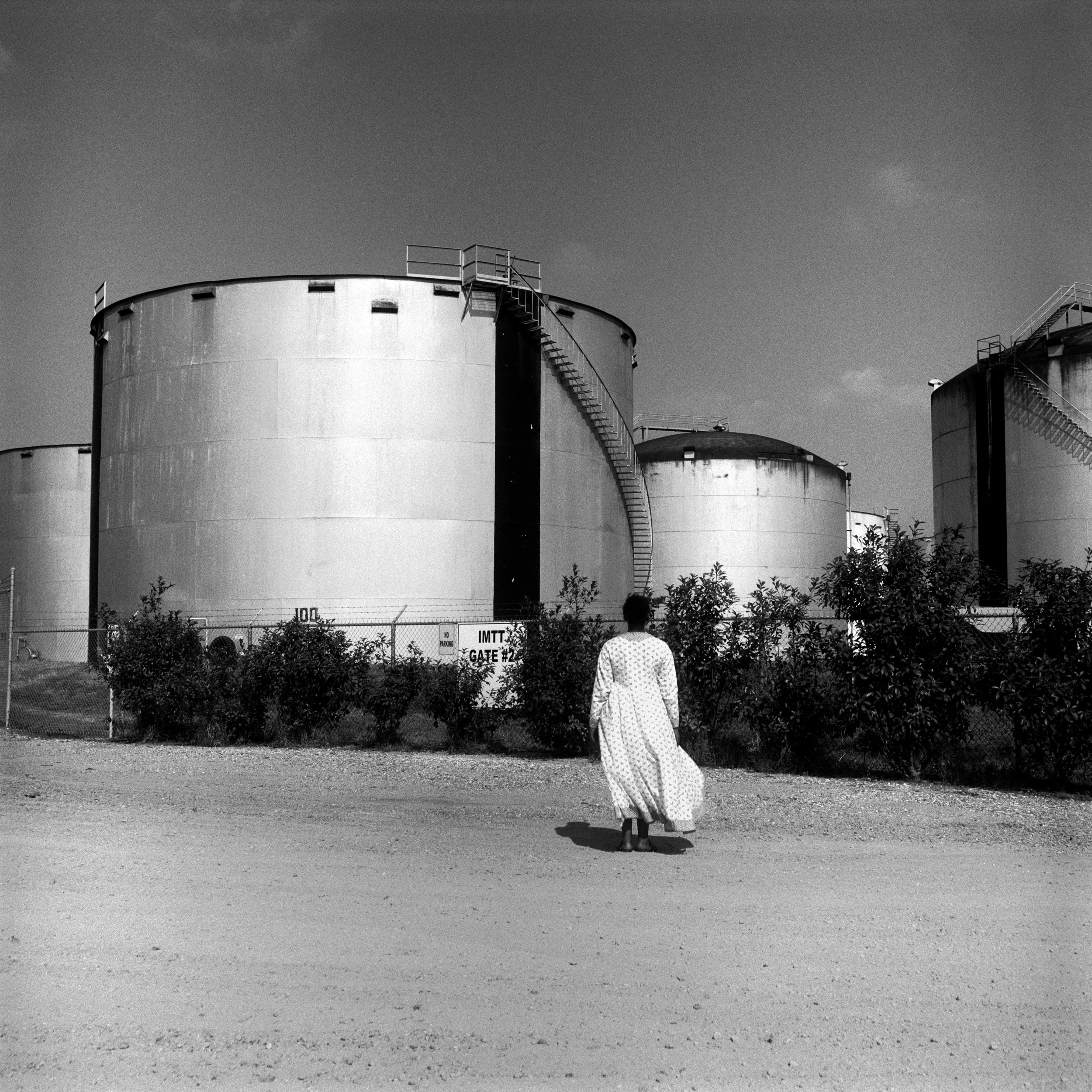 The Louisiana Project, 2003 — Carrie Mae Weems