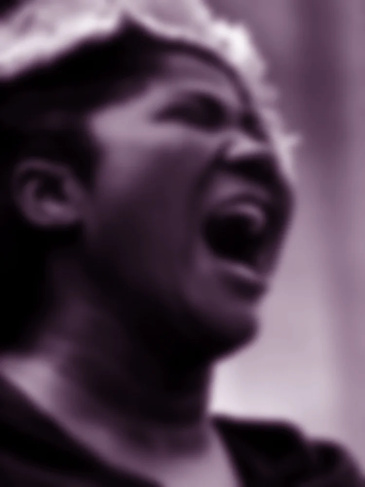 The Push The Call The Scream The Dream — Carrie Mae Weems
