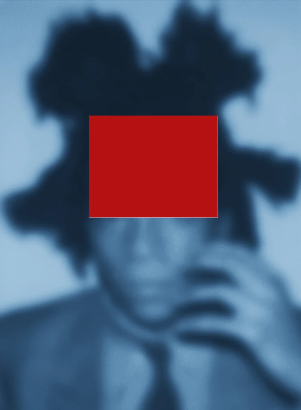 Photographical Work — Carrie Mae Weems