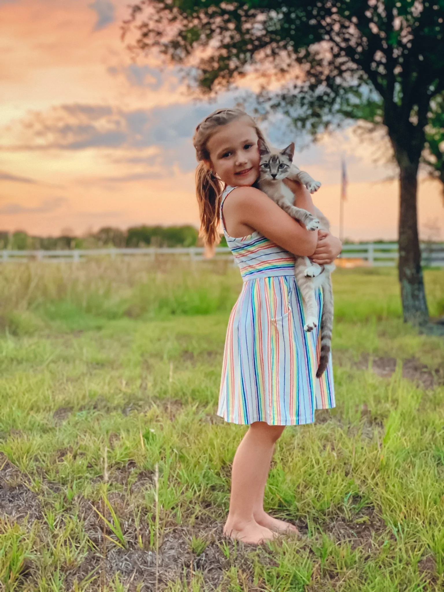 About | Family Owned & Operated — Gooch Family Farm