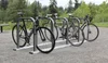 Tofino™ No Scratch® Bike Rack | Sportworks — Sportworks