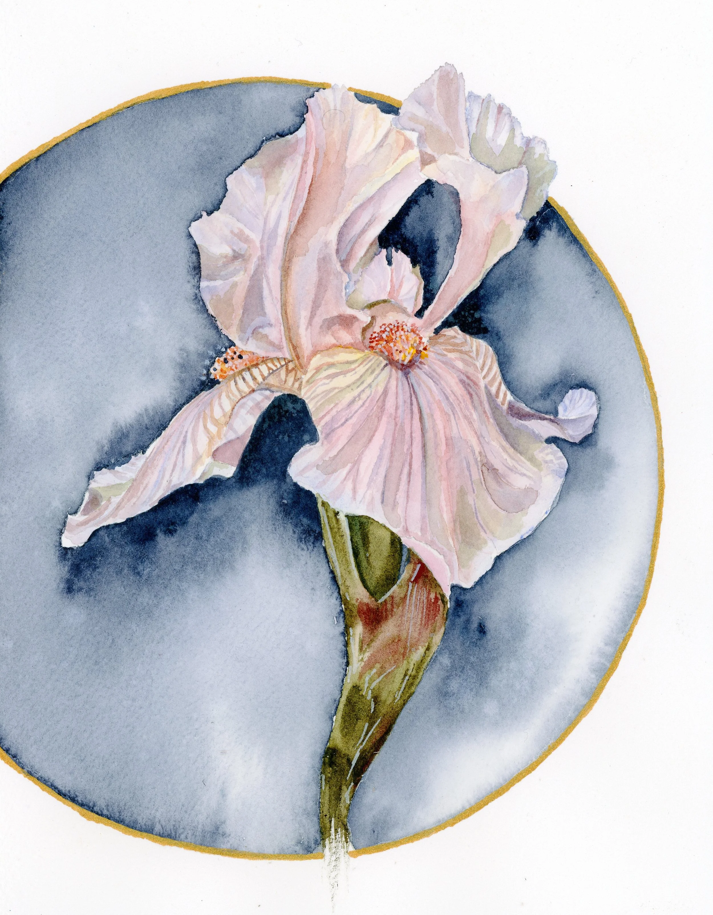 CARLEE CLARKE ART