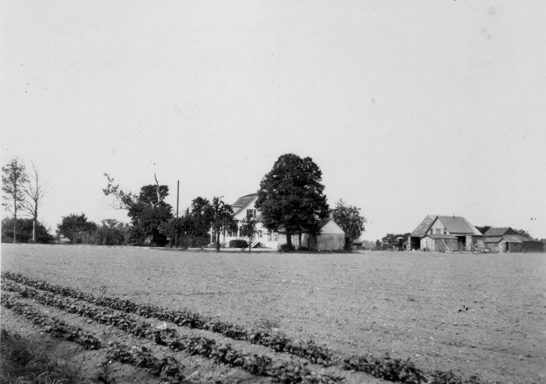 History of The Lott House and Farm — Hendrick Lott House