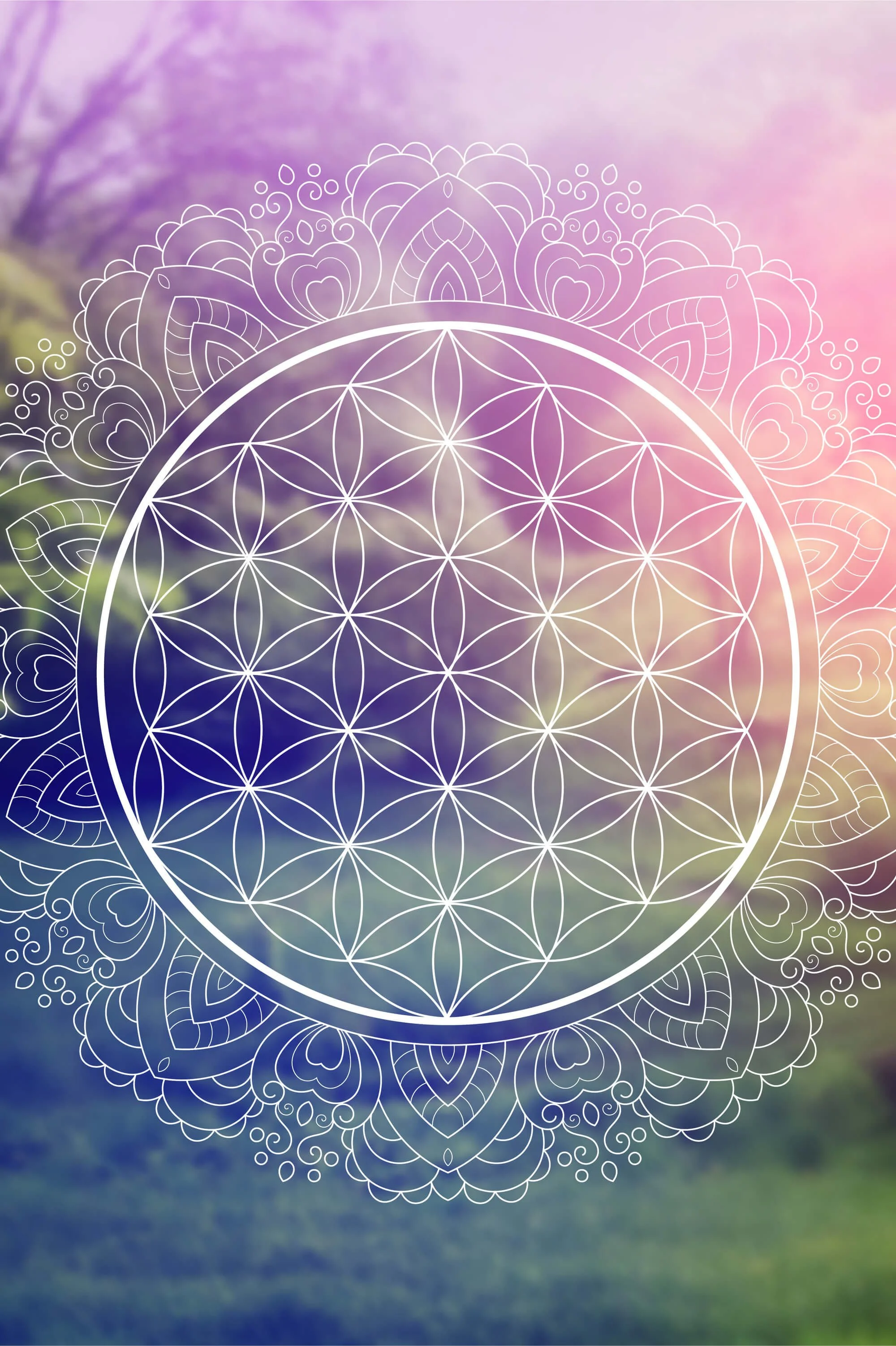 Harmonic Healing Centre