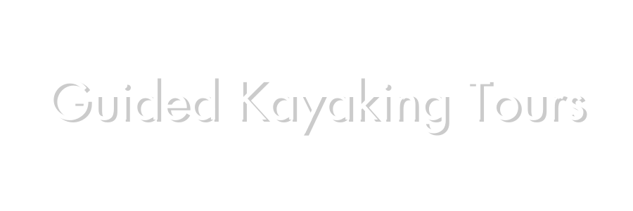 Kayak to Fancher Falls — Cumberland Kayak & Adventure Company