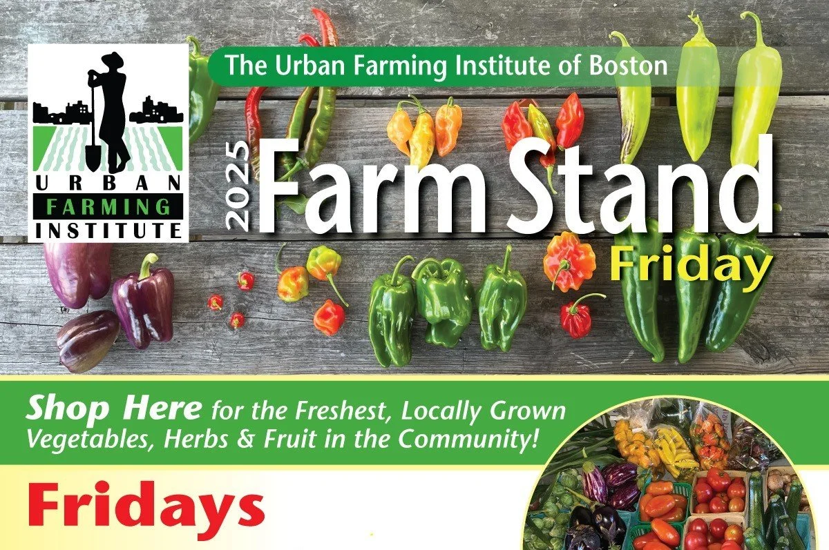 Farm Stand Fridays — Urban Farming Institute