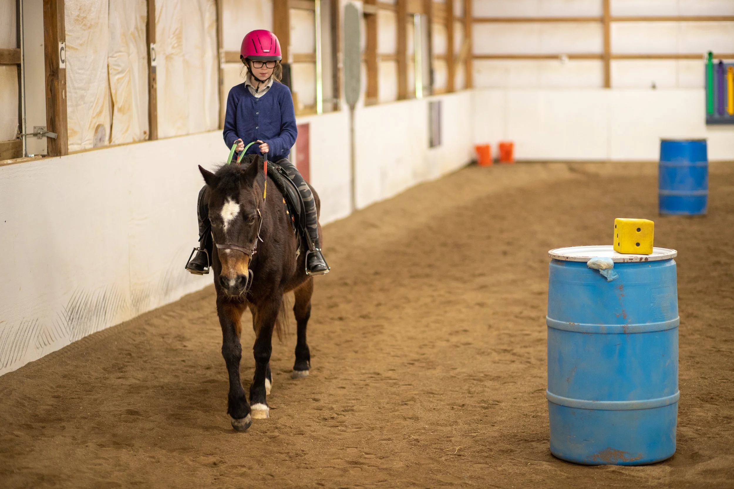 Therapeutic Horsemanship — Morning Dove Therapeutic Riding Center