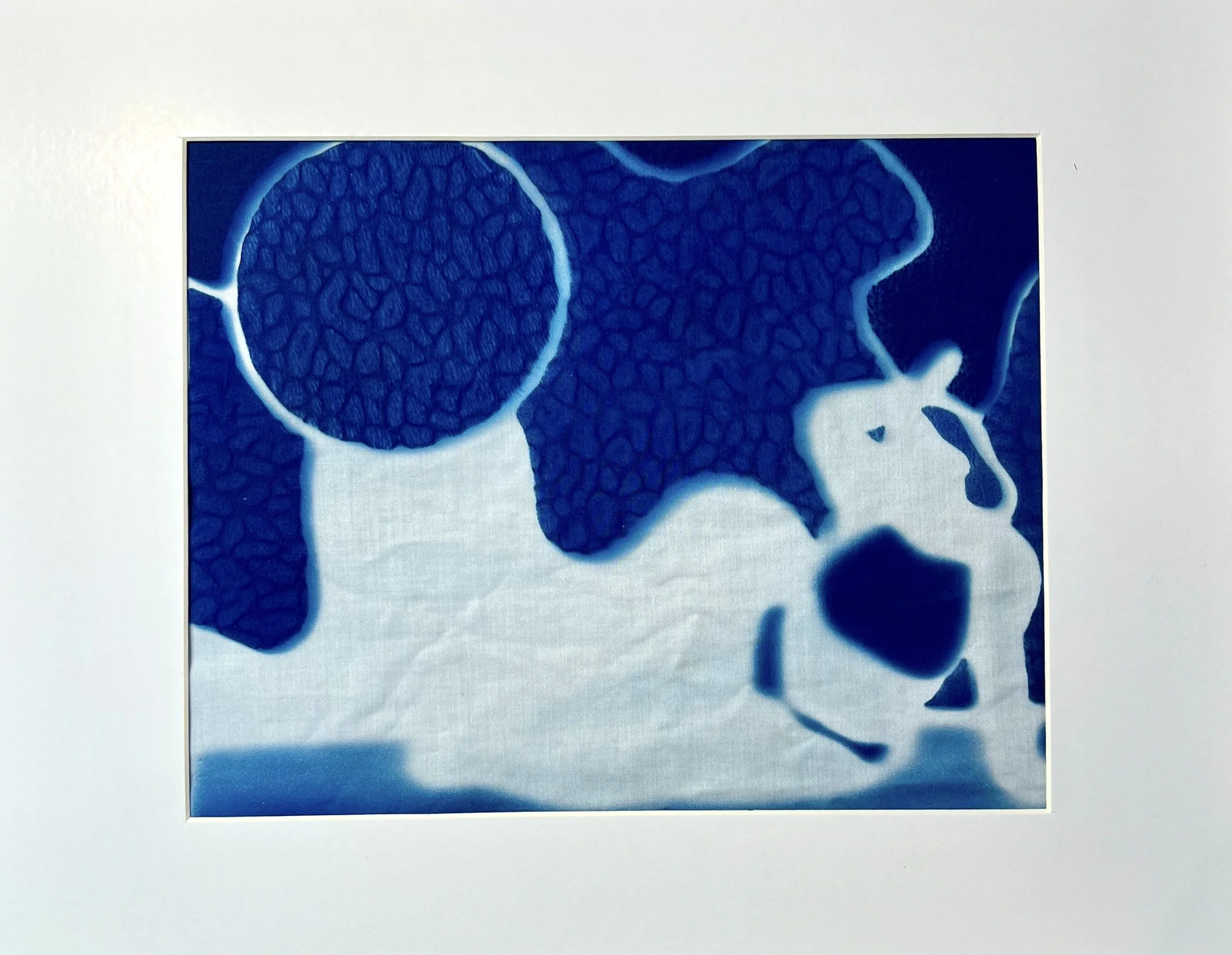 Store 1 — Abby Kosberg