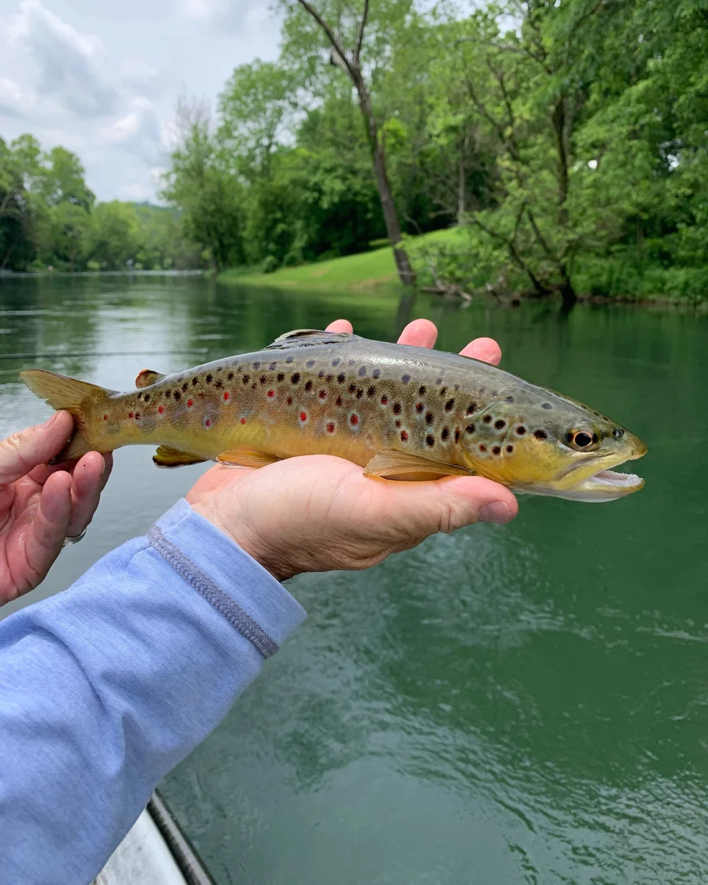 Fishing — Watauga River Lodge