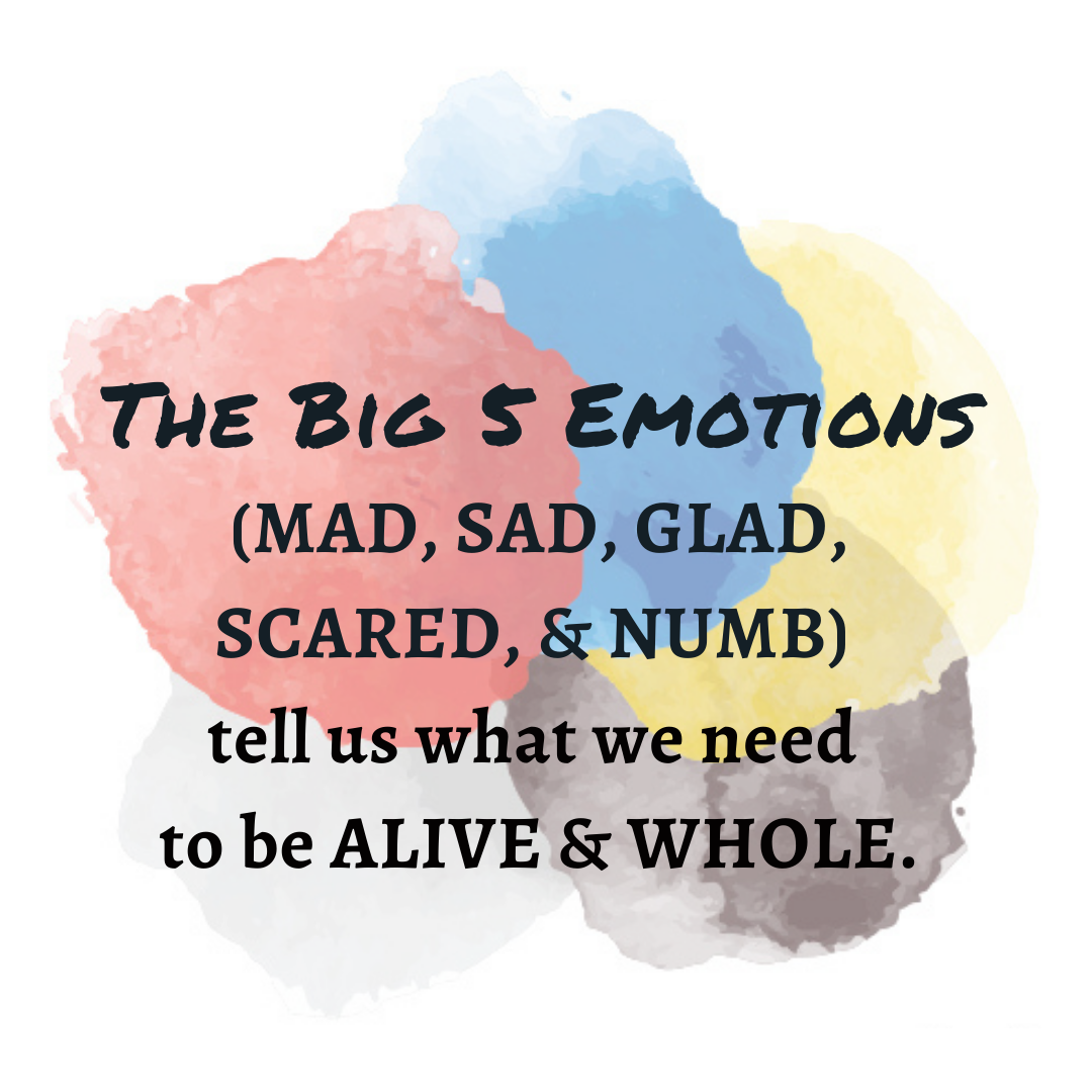 The BIG FIVE Emotions: MAD, SAD, GLAD, SCARED, NUMB — Intelligent ...