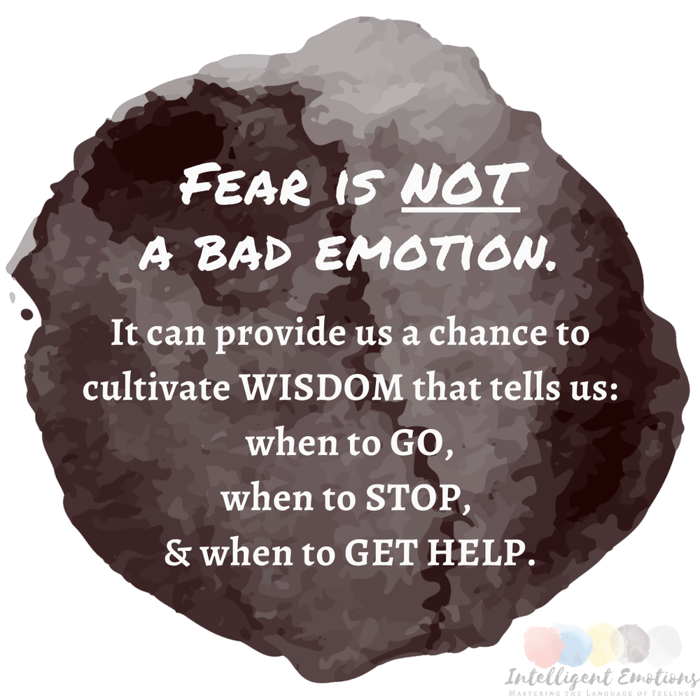 Feeling Scared: Fear is the Emotion of Sizing Up