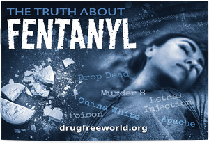 The Truth About Drug Booklets - A Comprehensive Guide to the Harmful ...