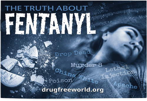 The Truth About Drug Booklets - A Comprehensive Guide to the Harmful ...