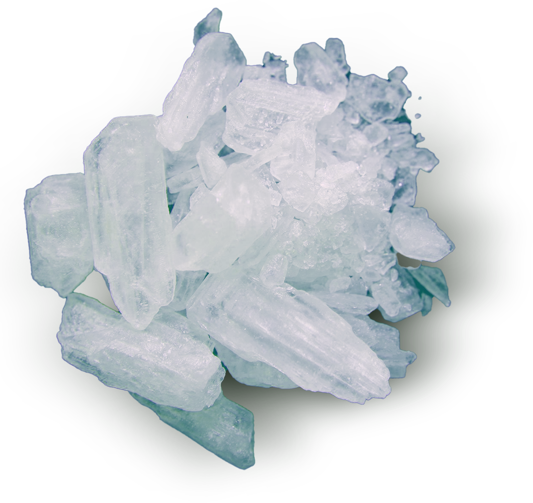 Foundation for a Drug-Free World, The Americas Chapter