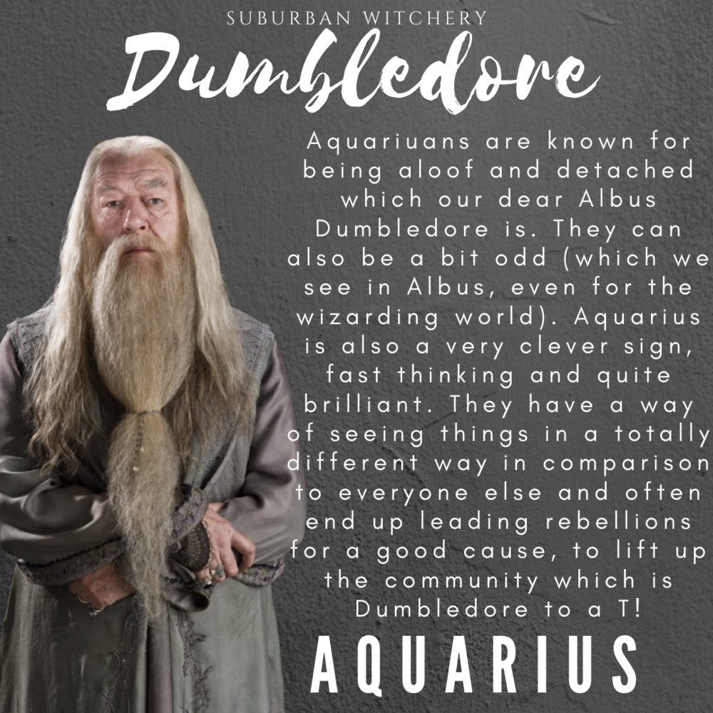 The 12 Zodiac Signs As Harry Potter Characters — Suburban Witchery